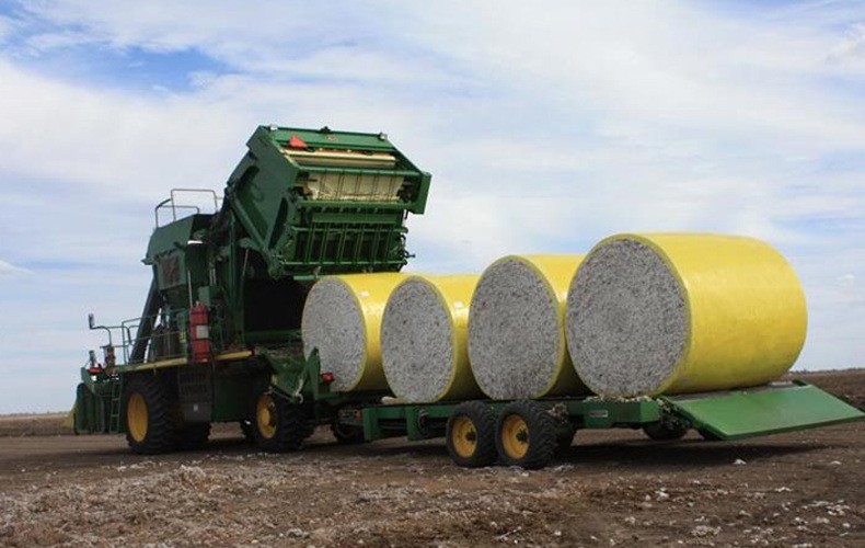 The Cotton Bale Wrap Tape That Outlasts and Outperforms - Borui ...