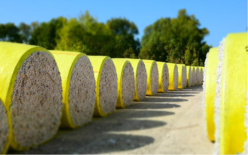 The Adhesive Foundation for Unbreakable Cotton Module Integrity ...